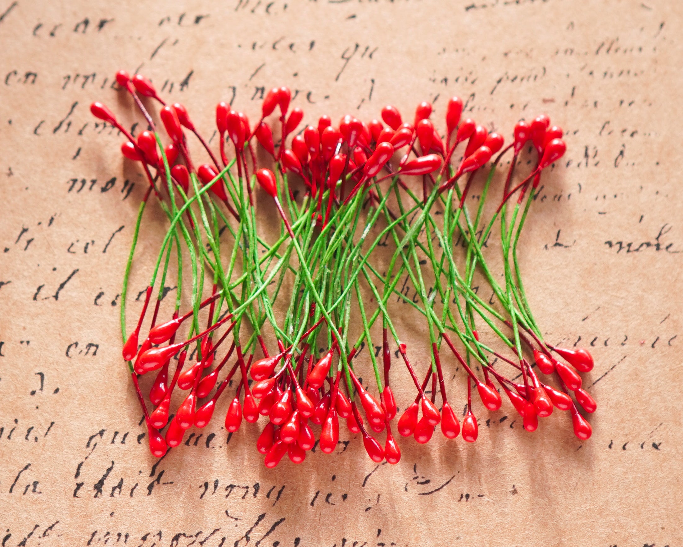 Mini Holly Berry Stamens, 50 Pcs.